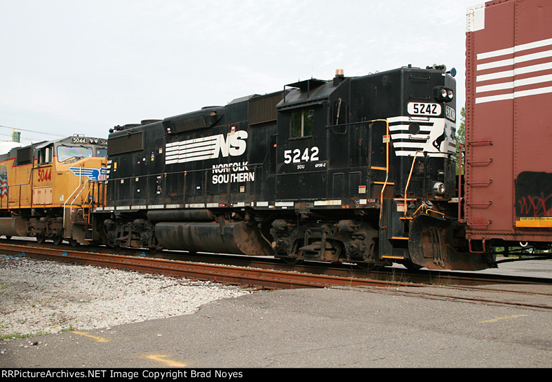 NS 5242
